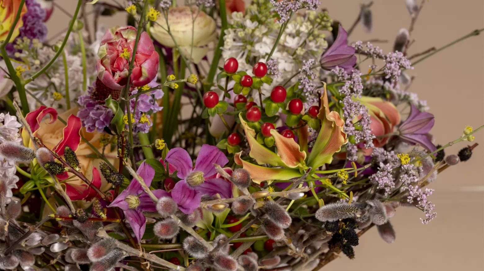 Hypericum Tomato Flair® | Marginpar